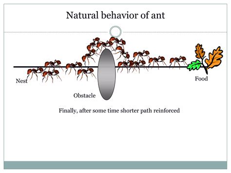 Evolutionary Algorithms And Their Applications In Civil Engineering 1 Ppt