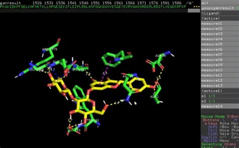 pymol：使用脚本对蛋白互作结合分析图（蛋白 蛋白对接）