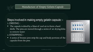 Capsule Manufacturing Of Capsulesoft Gelatin Capsule Preparation