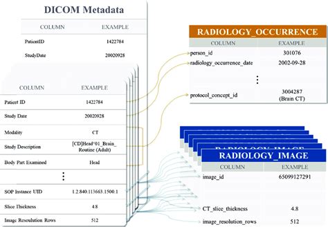 Metadata Extract Transform And Load Process Download Scientific