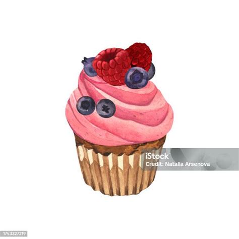 크림을 곁들인 수채화 디저트 머핀 베리에서 컵케이크 크림 손으로 그린 그림은 흰색 배경에 분리되어 있습니다 완벽한 음식 메뉴 음식 그림 디자인 포장 빵집 요리 다과회 건강한