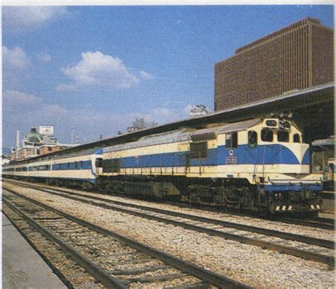 잡사진들 네이버 블로그