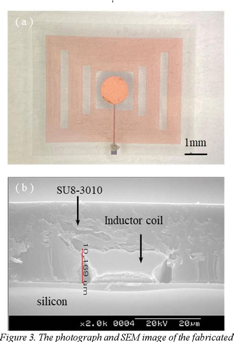 Figure 3 From Hybrid Biodegradable Polymer Stent Fabrication Using 3d