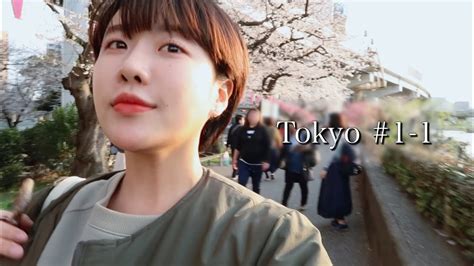 혼자 떠난 도쿄 벚꽃여행 Youtube