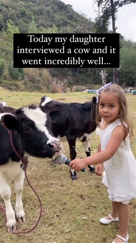 Guys Comment If You Know Cow Language And Translate Their Interview