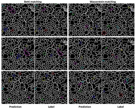 Motivation Our Betti Matching And The Wasserstein Matching Hu Et Al Download Scientific