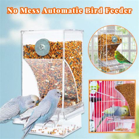 No Mess Automatic Bird Feeder Toputra