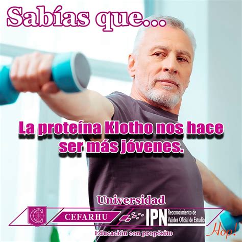 El Gen Y La Proteína Klotho Cefarhu Chimalhuacán