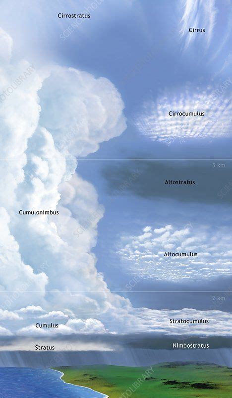 Illustration Of Cloud Types Stock Image C0389493 Science Photo Library In 2025 Cloud