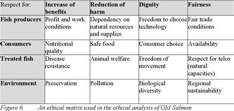 Ethical Matrix Manual Semantic Scholar
