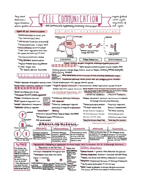 Ap Biology Unit 4 Review Notes Etsy Notas De Biología Apuntes De
