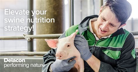 🐖 Elevate Your Swine Nutrition Strategy Delacons Phytogenic Solutions