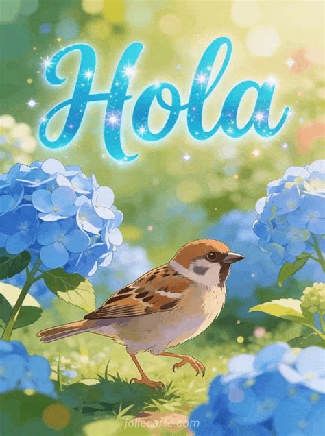 🐦 Hola S Tarjeta Gratis Joliecarte