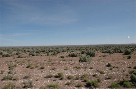 Clustered And Sparse Population First Six Weeks Project Weebly Website