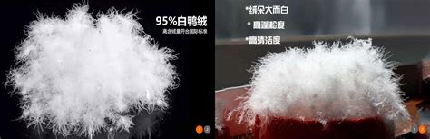 安徽北海羽绒制品有限公司 中国羽绒信息网