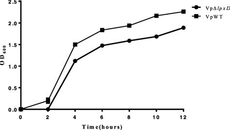 Growth Curve Of The V Parahaemolyticus Wt Vpwt And V Download