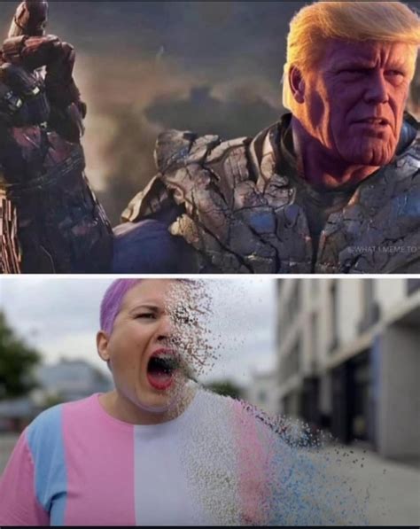 Me Temo Que Volverán