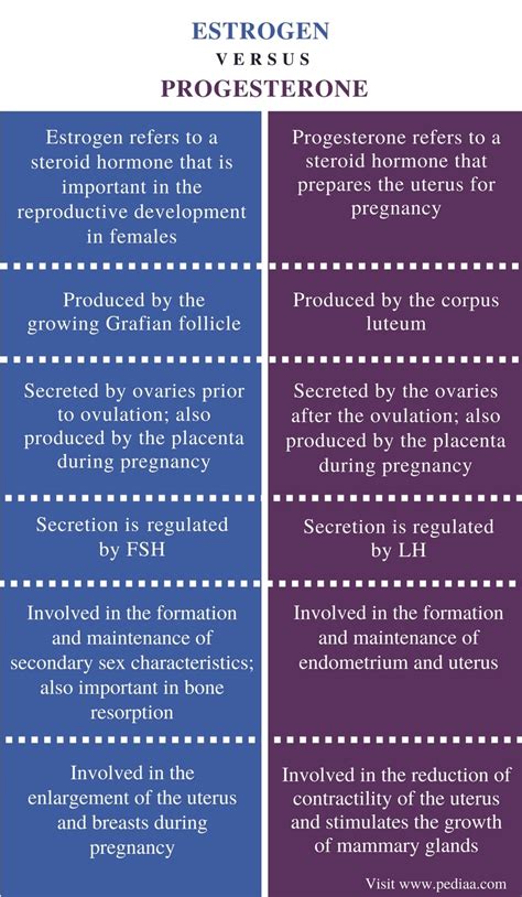 Difference Between Estrogen And Progesterone Definition Production