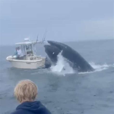 Rip Mary Quant The Fashion Designer Who Invented The Miniskirt