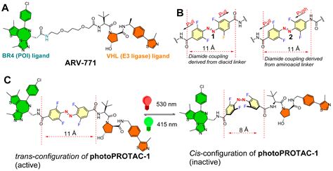 Light Activating Protacs In Cancer Chemical Design Challenges And