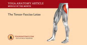 Tensor Fasciae Latae Trigger Point Tensor Fasciae Latae Trigger Point