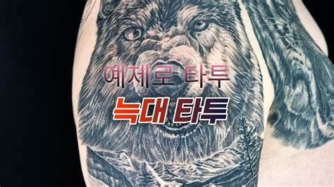 예제로타투늑대타투블랙앤그레이남자타투어깨늑대타투수원타투wolf Tattoo타투수강black And Gray Youtube