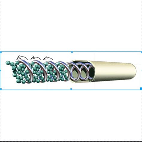 Stainless Steel Compression Spring Conveyor At ₹ 1400 Piece In Ahmedabad Id 9173054773