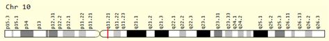 Ret Gene Genecards Ret Protein Ret Antibody