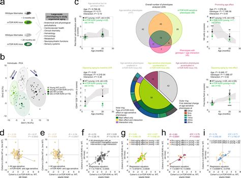 A Hypomorphic Mtor Mutant Allele Attenuated Asps Via A Mixture Of Download Scientific Diagram