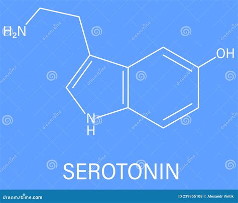 Serotonin Neurotransmitter Molecule Skeletal Formula Vector Illustration