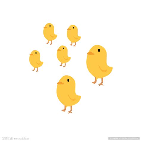 小鸡 设计图 家禽家畜 生物世界 设计图库 昵图网