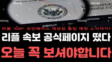 리플전망 리플 Sec와 재판 소송결과에 대한 일정이 앞당겨졌다 아침부터 난리네요 오늘 영상은 꼭 보셔야합니다 리플전망