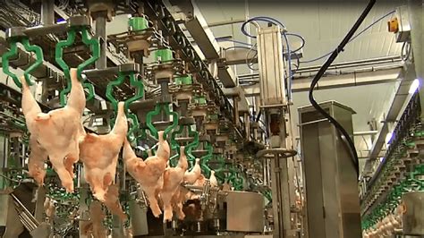 Poultry Processing