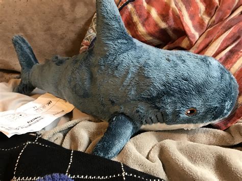 Off Brand Mini Blahaj From Aliexpress R Blahaj