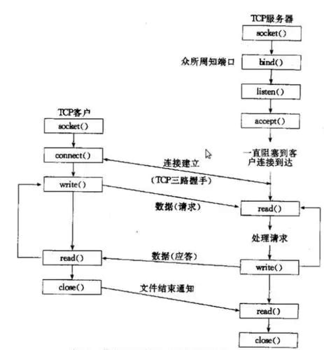 TCP UDP 编程模型 打工搬砖日记 博客园