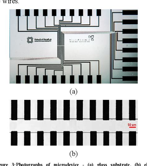 Figure 3 From A Microfluidic Device With Penetrating Microelectrode Array For Focusing Of Cells