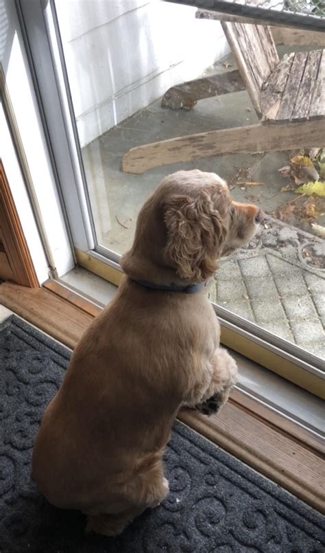 Shes A Pointer Scrolller