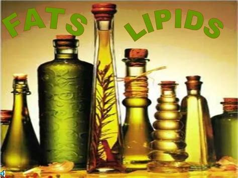 PPT Lipids Fats Functions And Structures PowerPoint Presentation Free Download ID