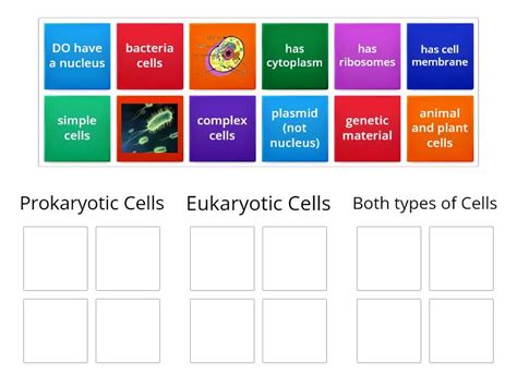 Prokaryotes Vs Eukaryotes Cells Revision Group Sort