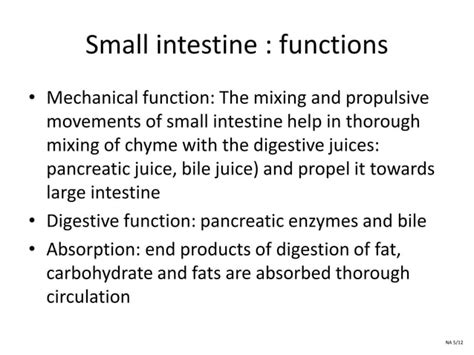 Gastrointestinal Tract Git Pdf