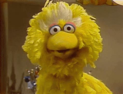 Big Bird S Tenor