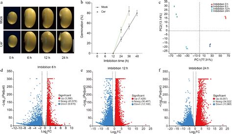 Saturated Ceramide Is Required For Seed Germination In Soybean
