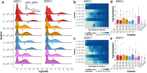 Identification Of The Optimal Grna Scaffold For Single Cell Download Scientific Diagram