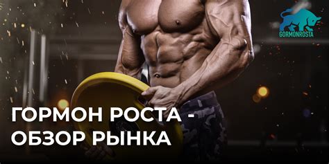 Что такое гормон роста, как правильно подобрать дозировку гормона роста ...
