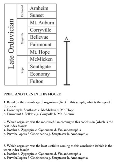 Solved Part 2 Faunal Succession 20 Use The Following