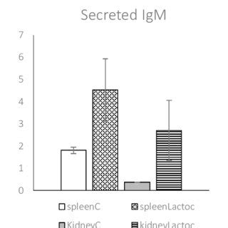 RT QPCR Relative Gene Expression Values Of Secreted IgM The Relative Download Scientific