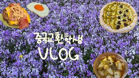 중국교환학생vlog7 중국 연태대학교 교환학생 일상 브이로그🇨🇳 마라샹궈 먹방🔥 수제햄버거 맛집🍔 삼겹살 먹방🐷 피자 맛집🍕 Youtube