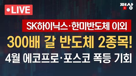 쩜상 시크릿 삼성전자·sk하이닉스·한미반도체 이외 300배 갈 반도체 2종목 한번 더 남은 에코프로·포스코 폭등 기회는