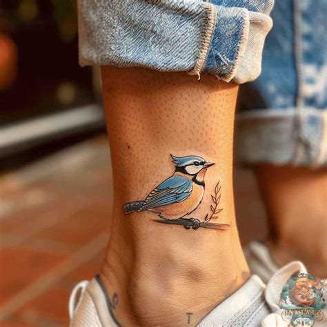 Feathers Of Freedom Exploring The Symbolism And Beauty Of Blue Jay