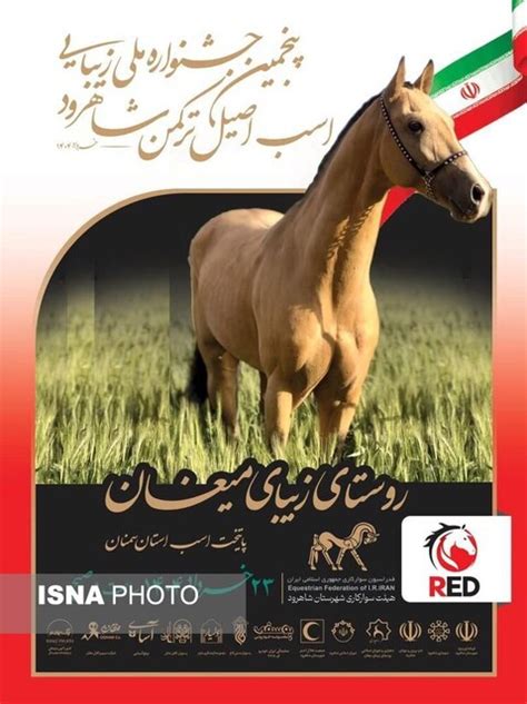 برگزاری پنجمین جشنواره اسب اصیل ترکمن در میغان ایسنا